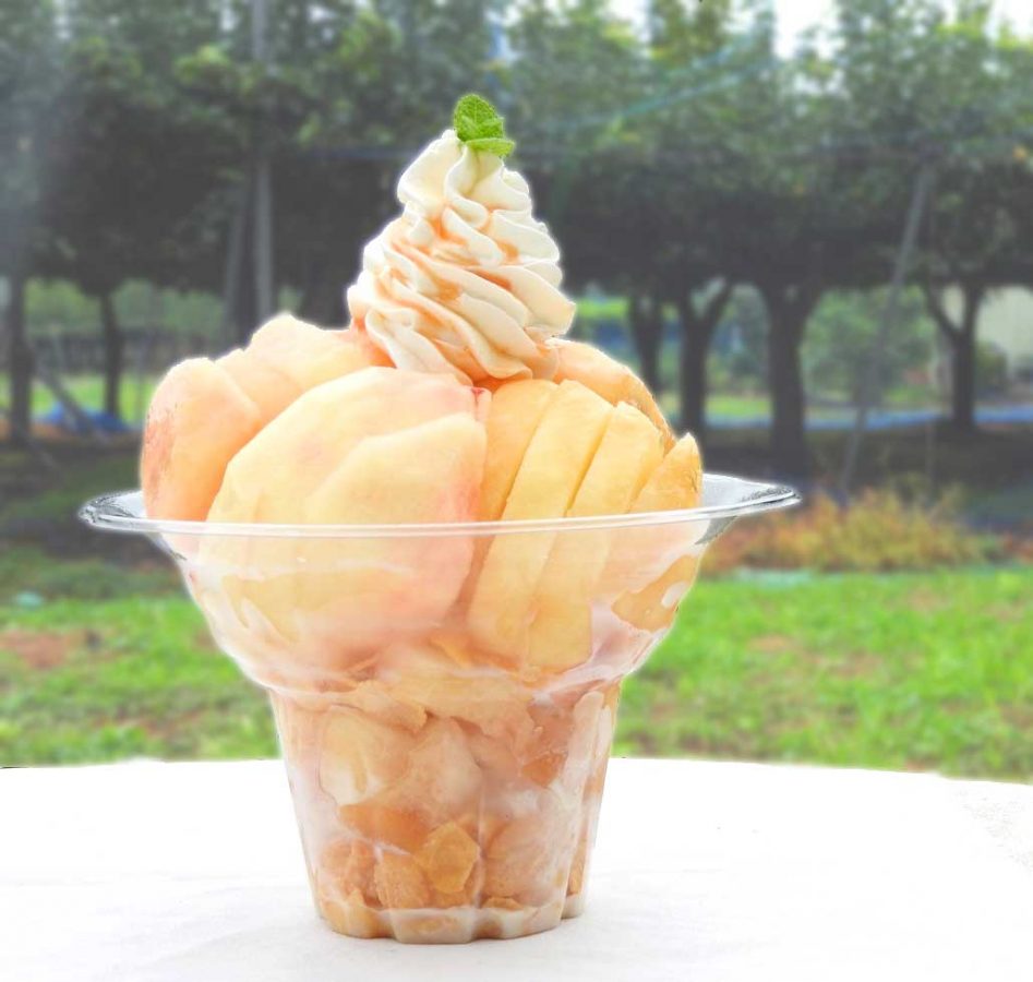 【福島】季節のフルーツ盛りもりパフェ！飯坂温泉にいったらぜひ立ち寄りたい名物農家カフェ、森のガーデン【レポ】 | おんせんニュース